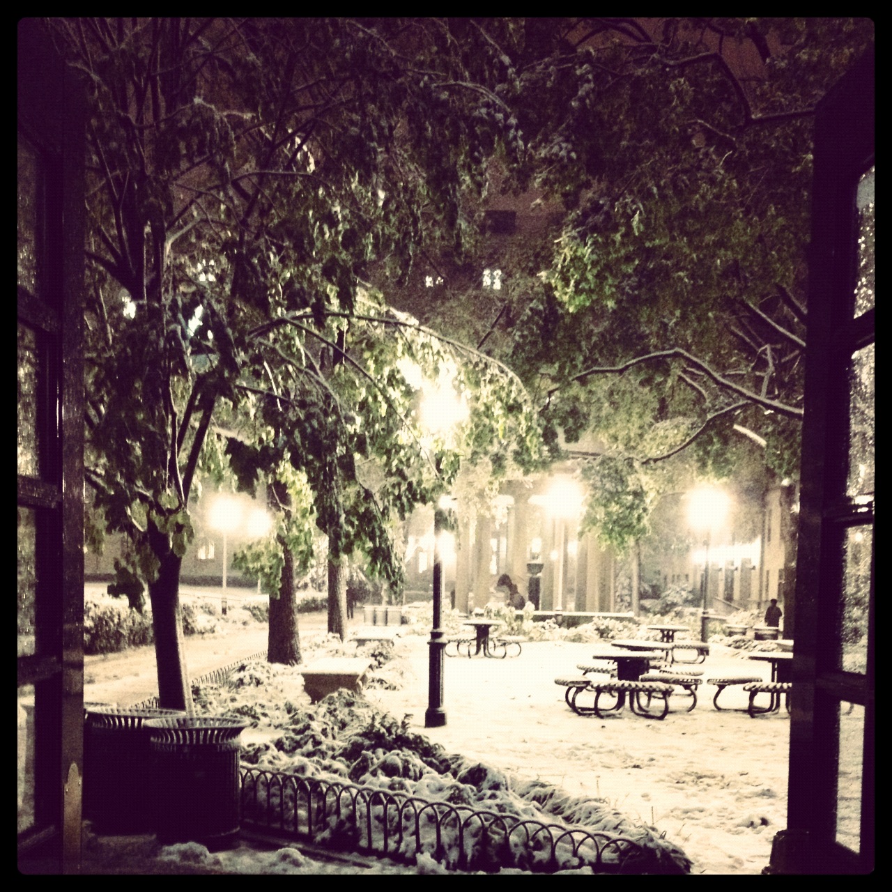 Bwog Teaches You About Snow – Bwog