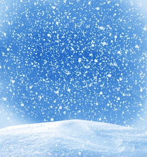 Fighting Nemo – Bwog