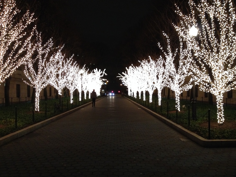 CCSC Completes Student Resources Guide And COVID Resource Fund! Also ...