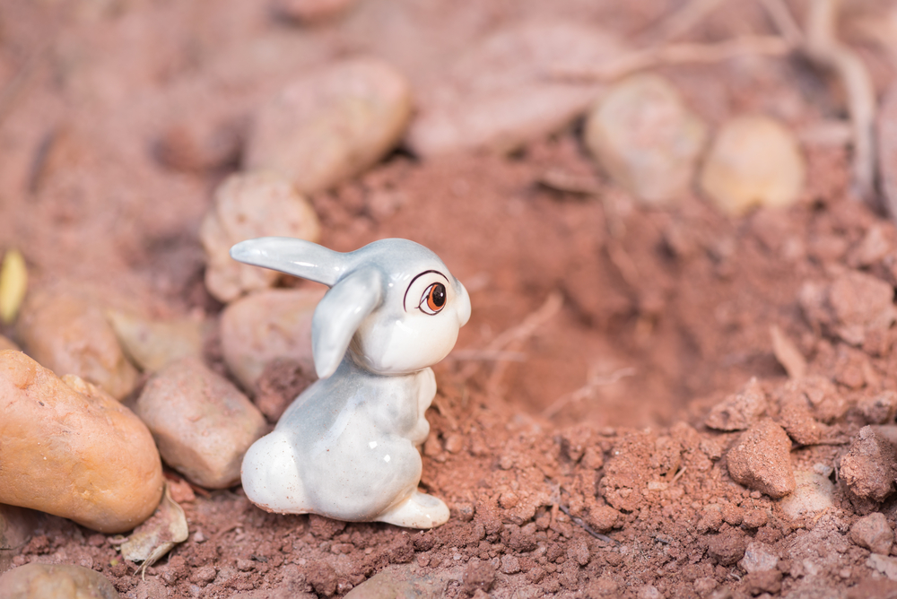 Field Notes: Down The Rabbit Hole Edition – Bwog