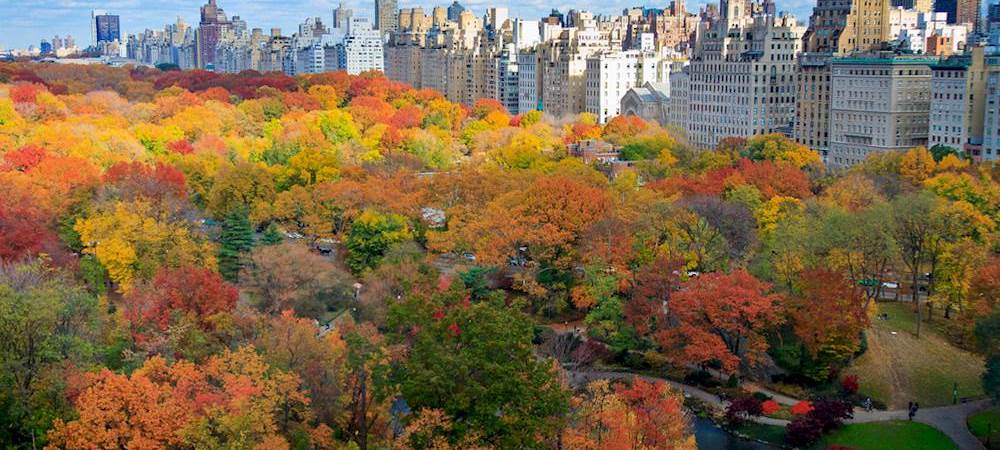 How to Spend Fall Break in NYC – Bwog