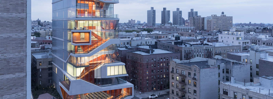 Neuroscience Professor Thomas Jessell Dismissed – Bwog