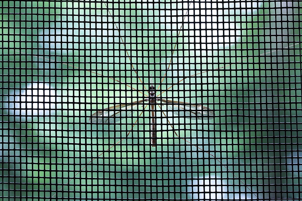 The Window Screen Gap – Bwog