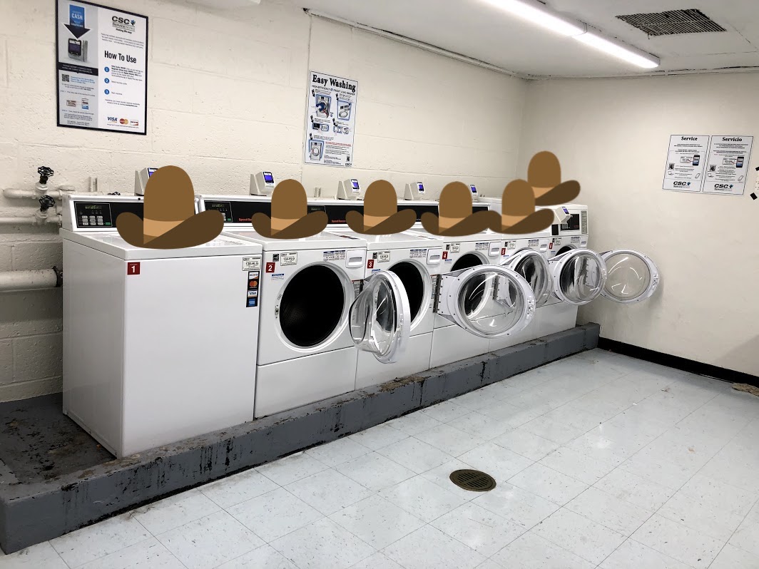 Barnard Laundry Room Patrons As Characters You May Encounter In A Wild ...