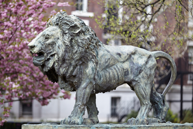 Bwoglines: Lion On The Loose Edition – Bwog