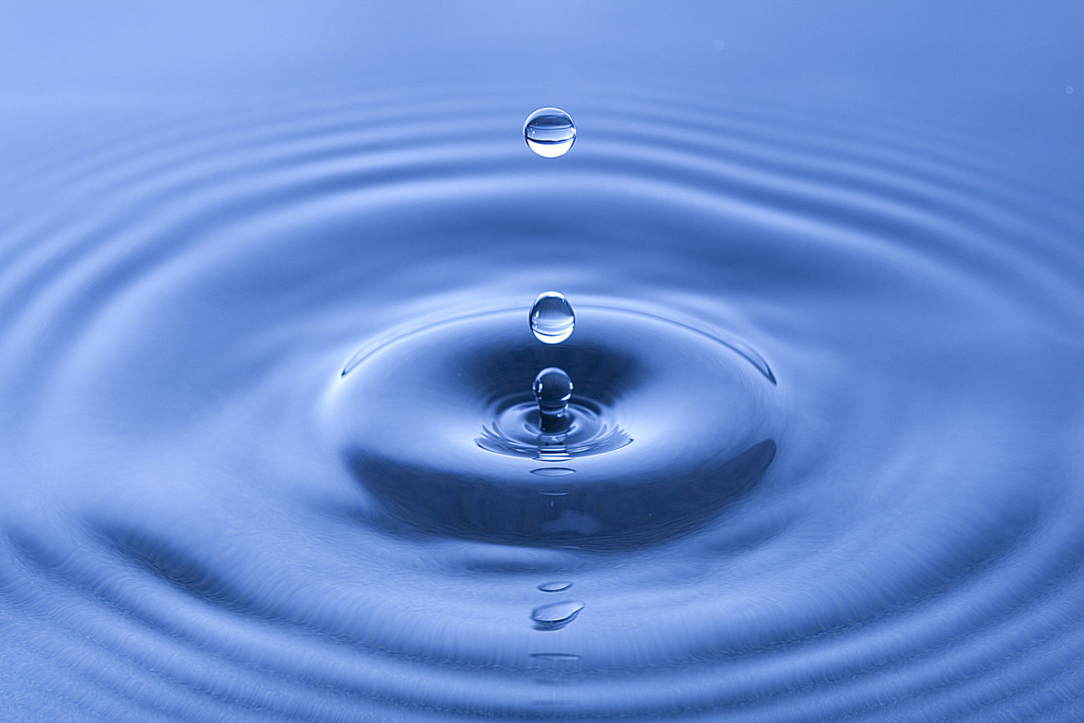 Staying Hydrated After Thanksgiving Break – Bwog