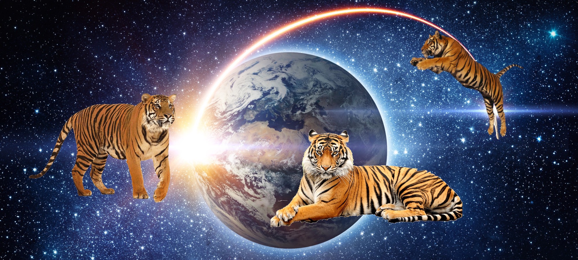 Where Art Thou: Tigers In Space! – Bwog