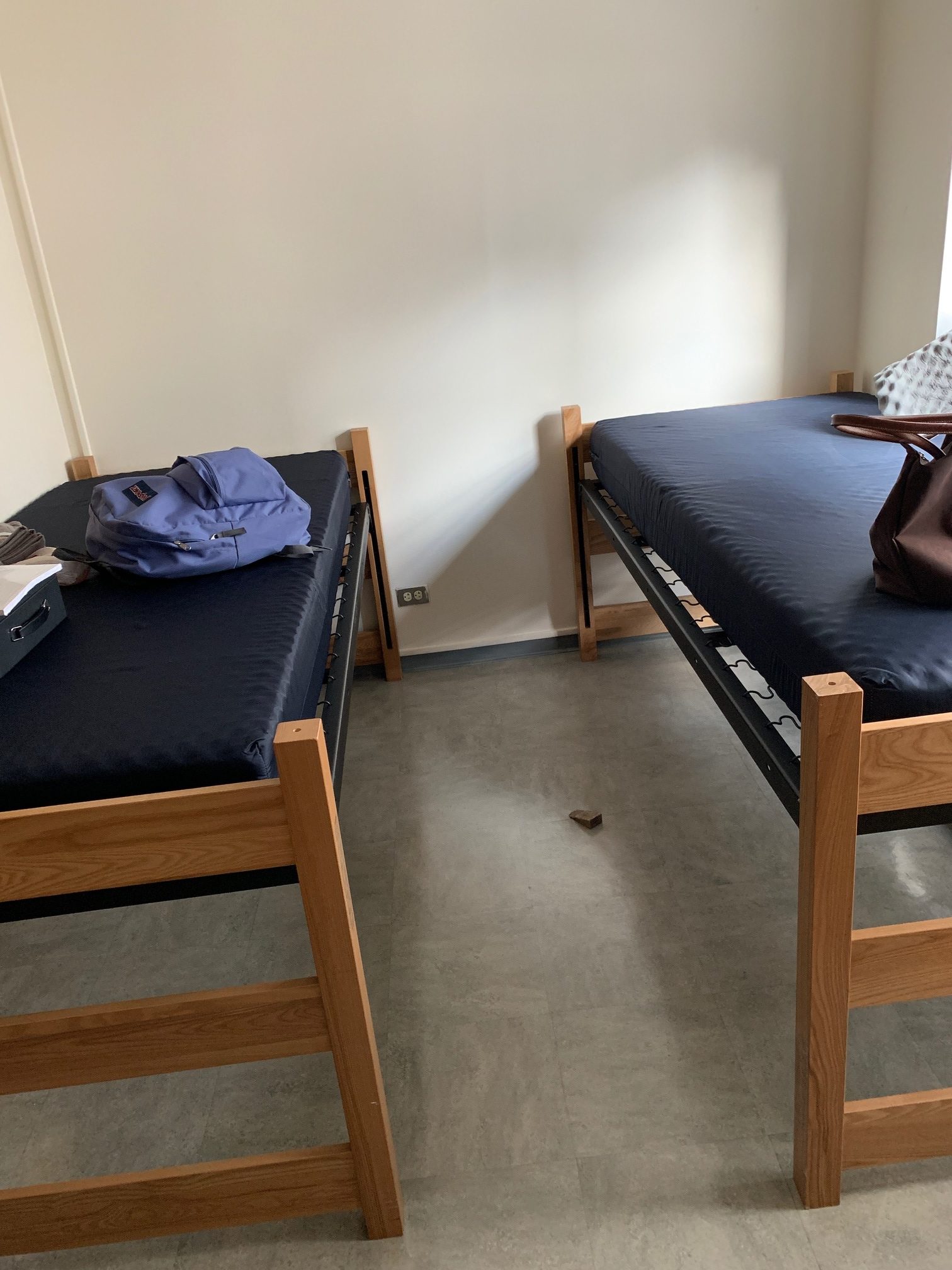 Housing Reviews 2021: Elliott Hall – Bwog