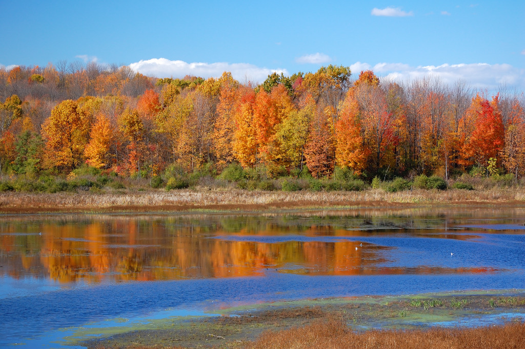 An Ode To Fall – Bwog