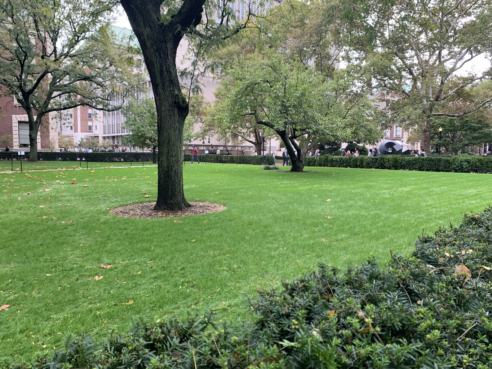 Serene Spots On Campus – Bwog
