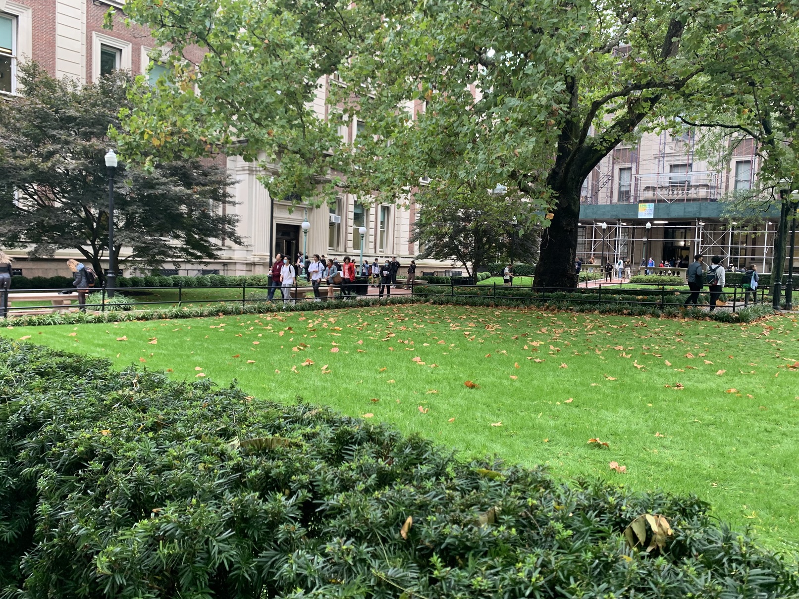 Bwog Major Spotlight: Mathematics – Bwog