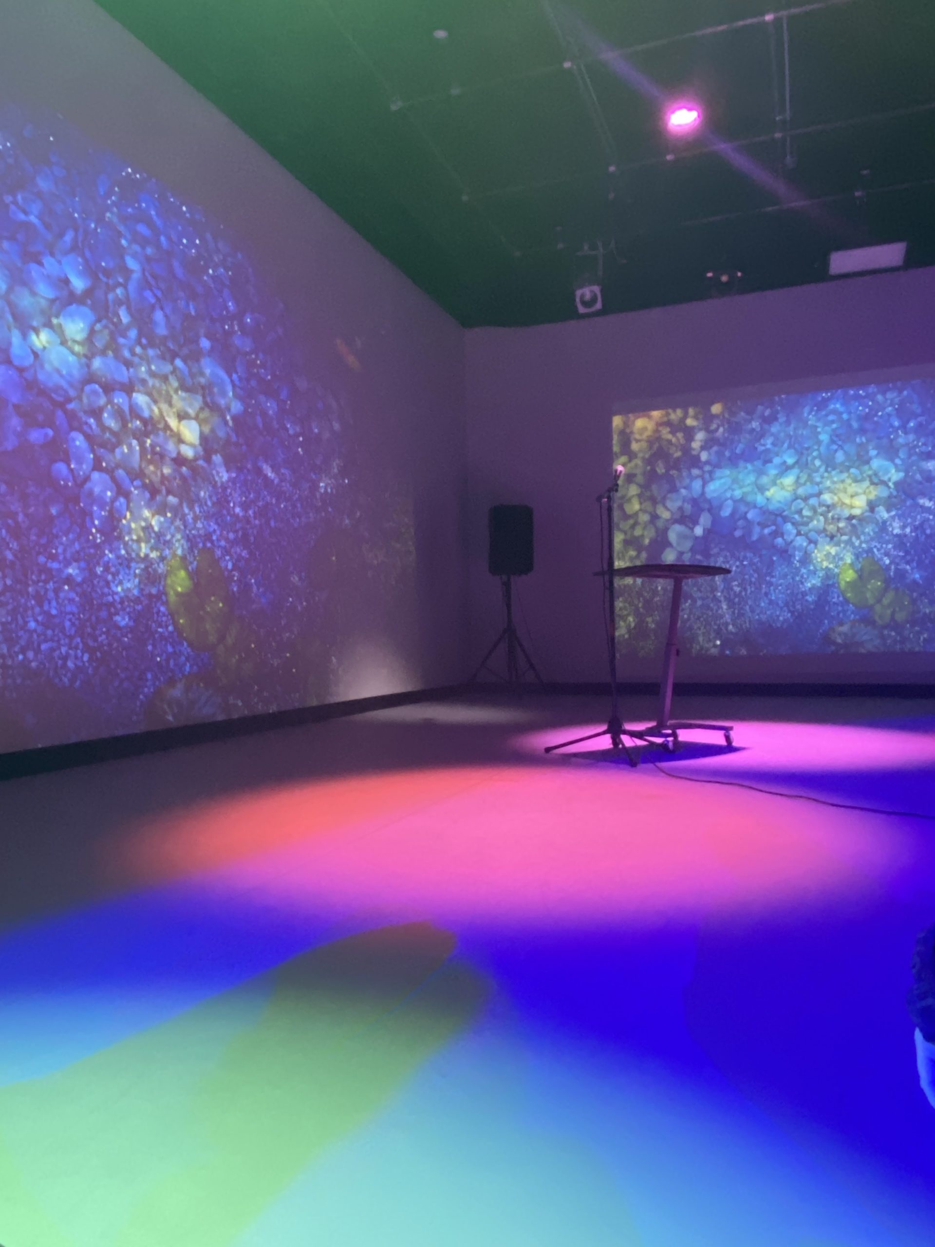 Poetry Power With Suzen Baraka – Bwog