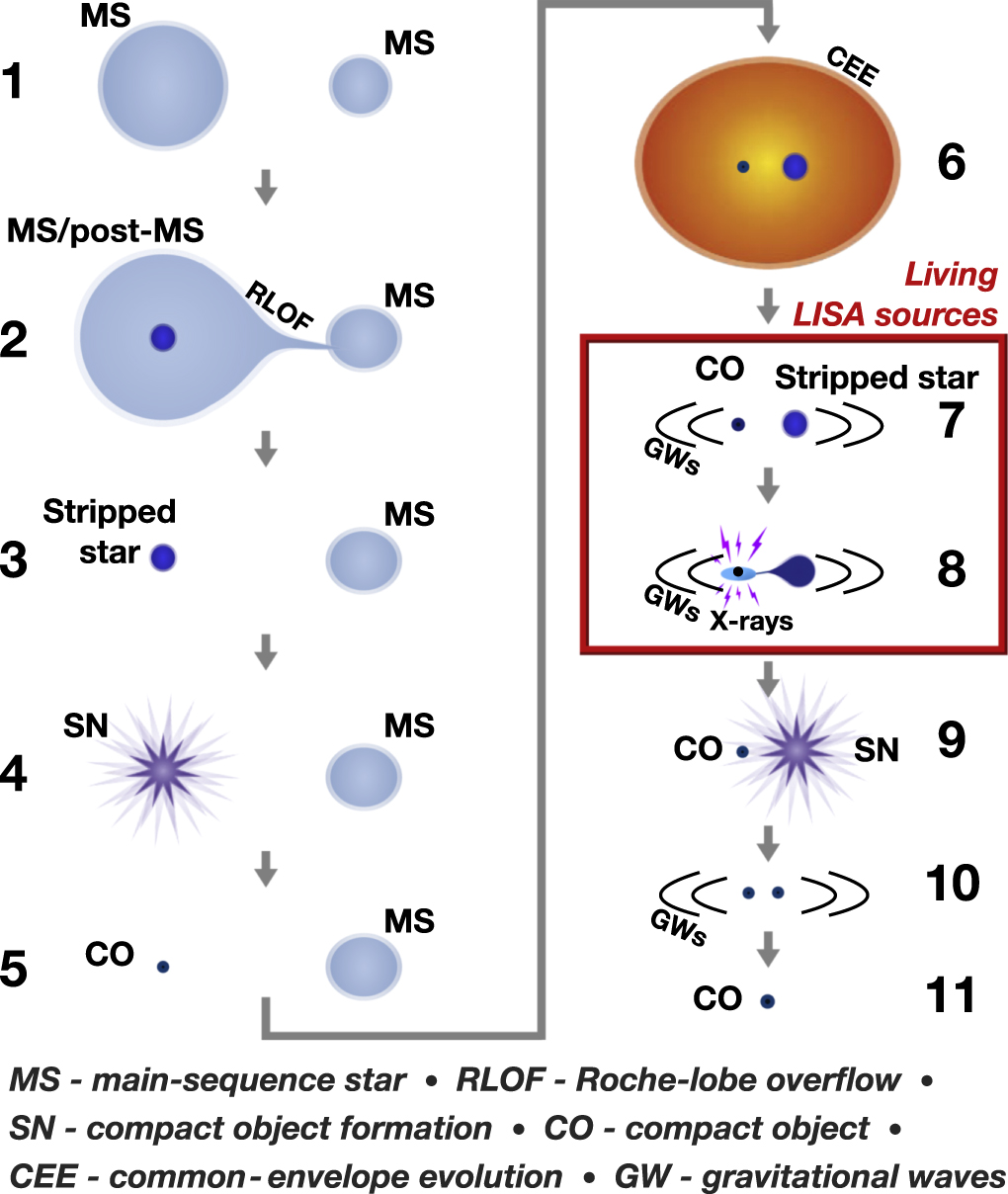 Binary Stars And Black Holes Pushing The Boundaries Of Astrophysics Bwog