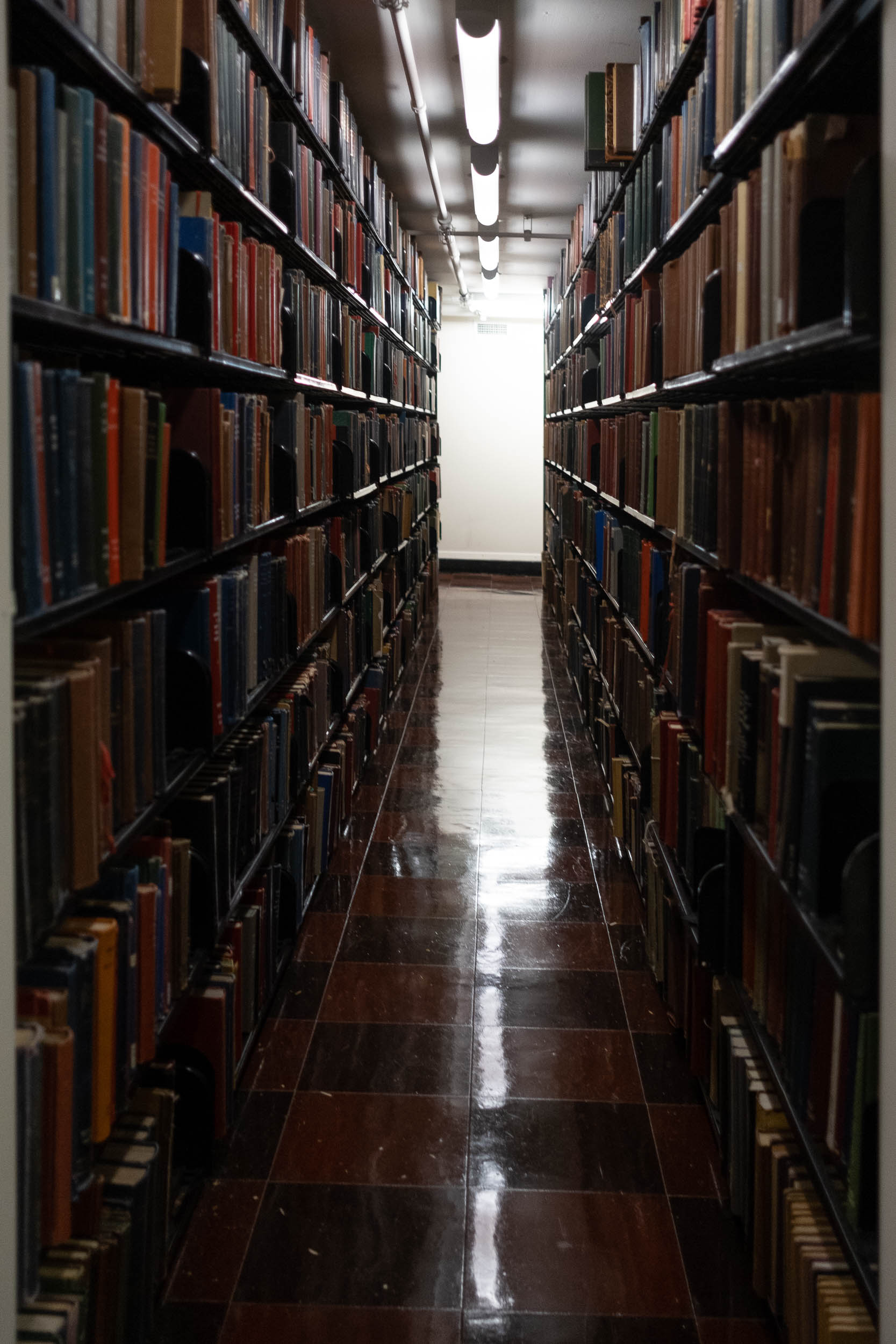 The Secret Society Of The Butler Stacks – Bwog