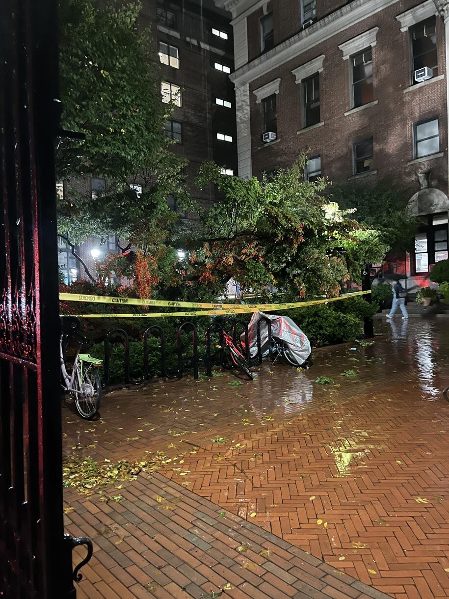 Barnard Builds To Remove Oak Tree And Futter Field Tent – Bwog