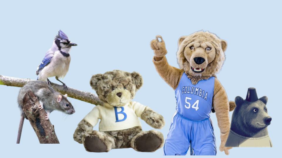 An Oral History Of The Barnumbia Mascots – Bwog