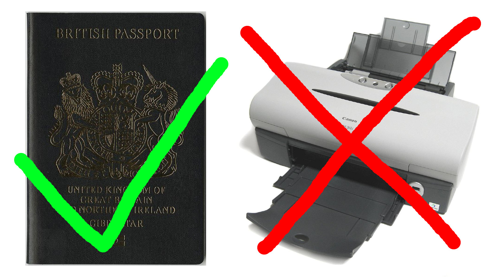 First-Year Move-In: What To Bring And What To Leave At Home – Bwog