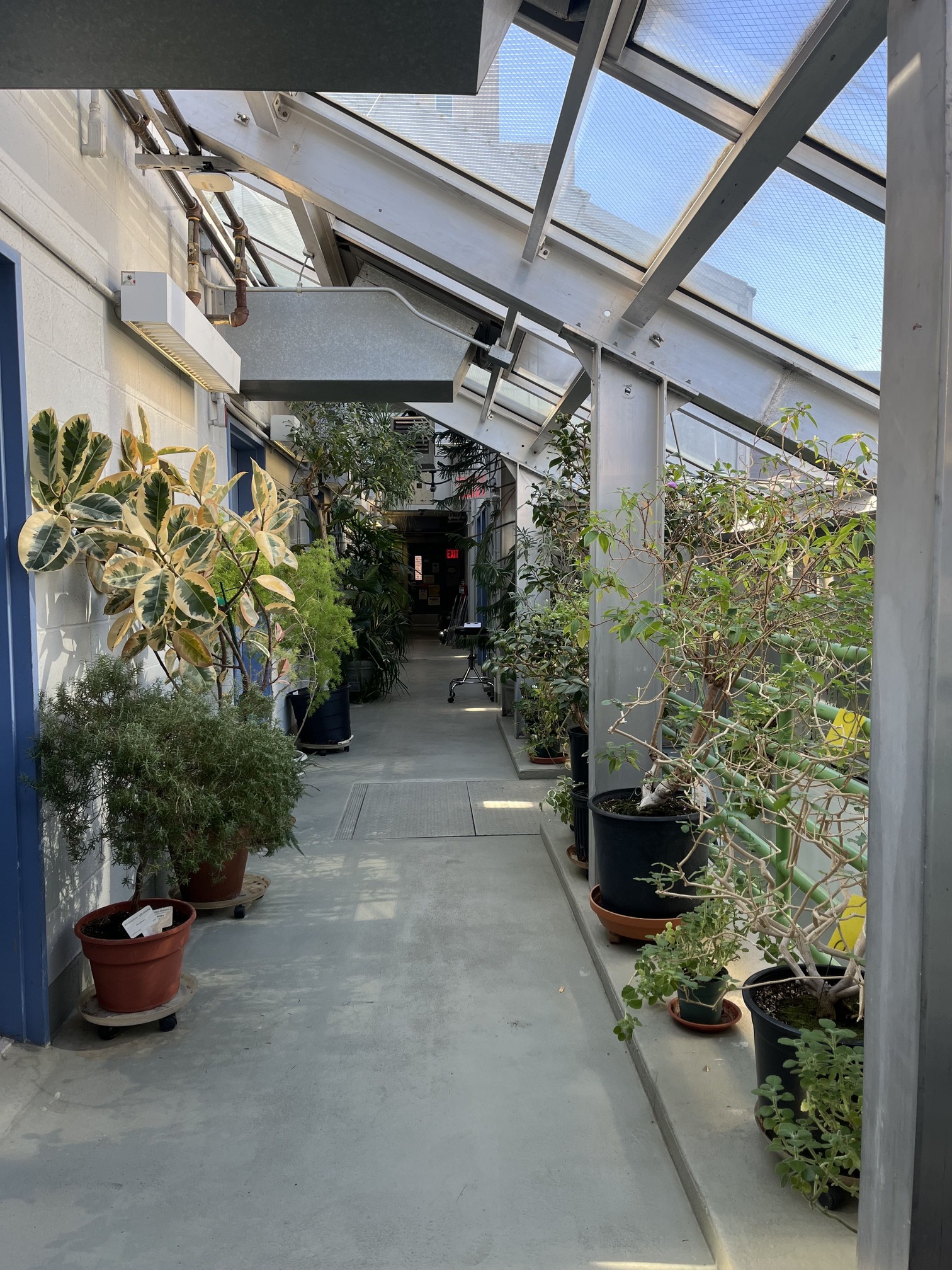 Bwucketlist Accomplished: Barnard Greenhouse – Bwog